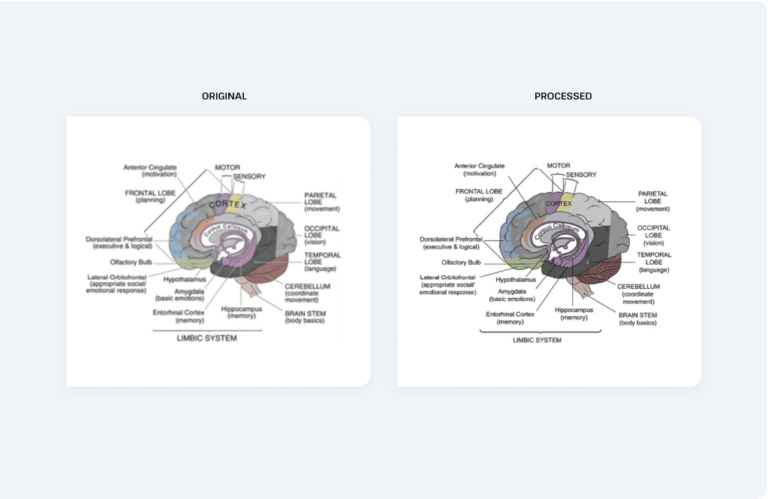 Compelling Visual Stories for STM Books and Journals | TNQTech
