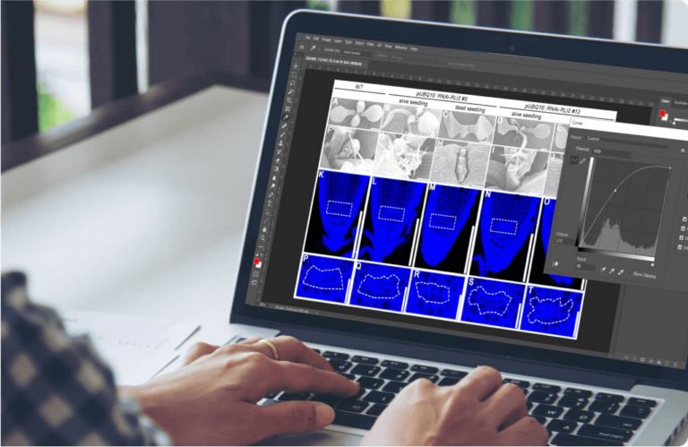 Compelling Visual Stories for STM Books and Journals | TNQTech